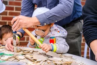 26th Annual Fossil Fair | Visit North Carolina